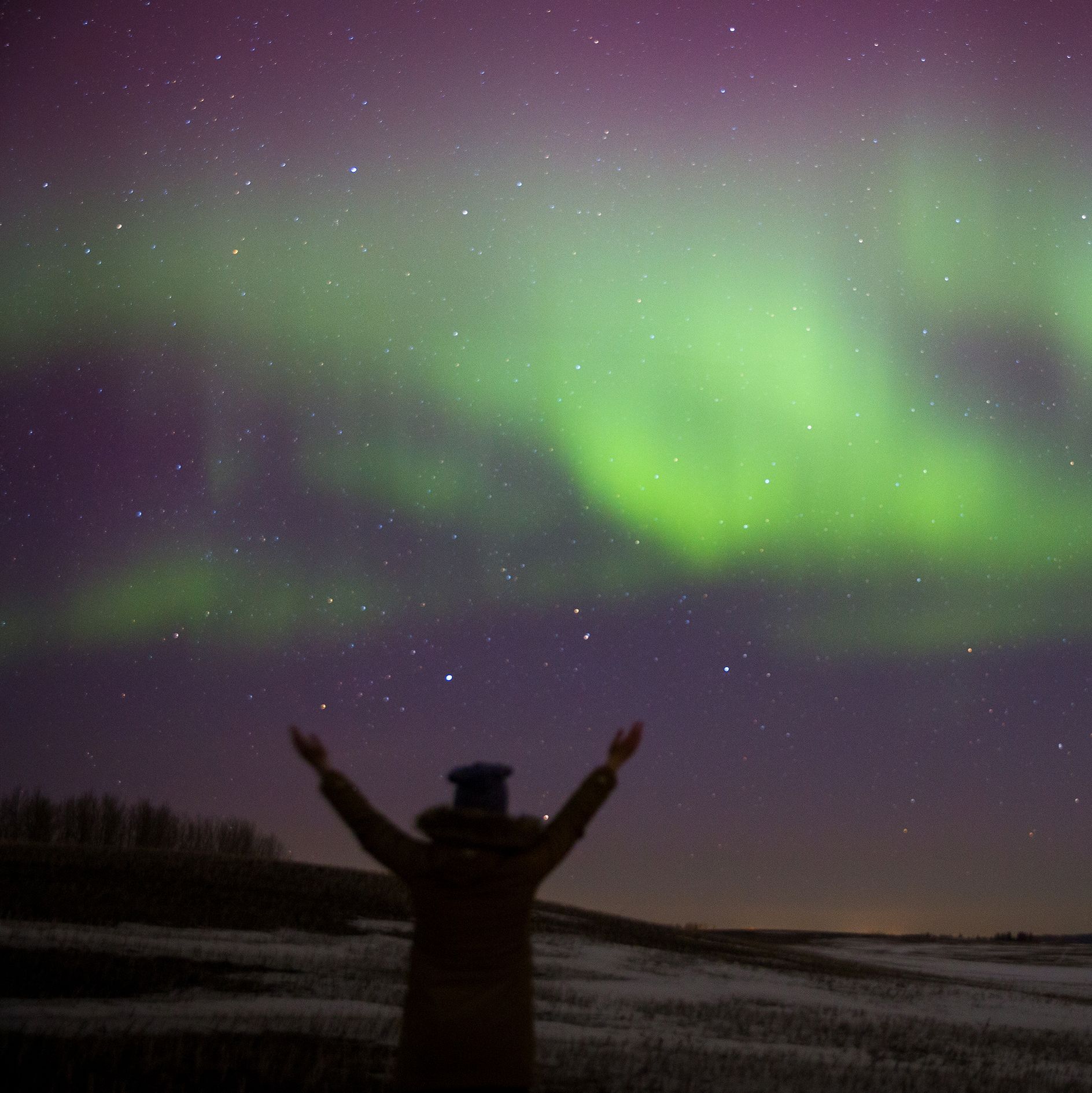 Edmonton, das Tor der Rocky Mountains in Kanada! | CANUSA