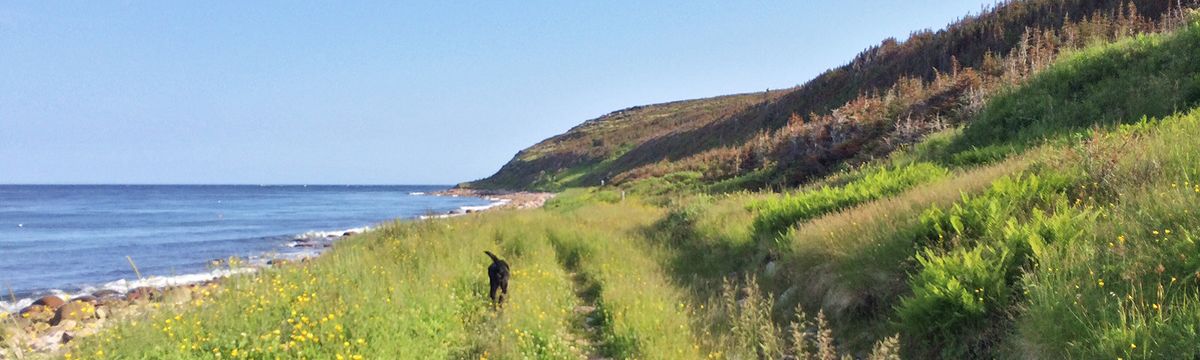 Labrador Pioneer Footpath | CANUSA