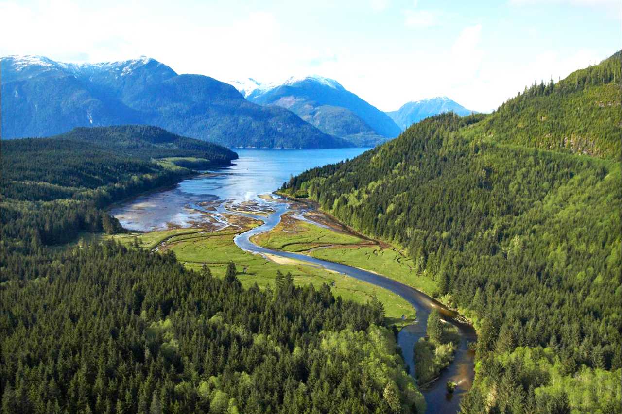 Bärenbeobachtungen im Knight Inlet in Kanada erleben | CANUSA