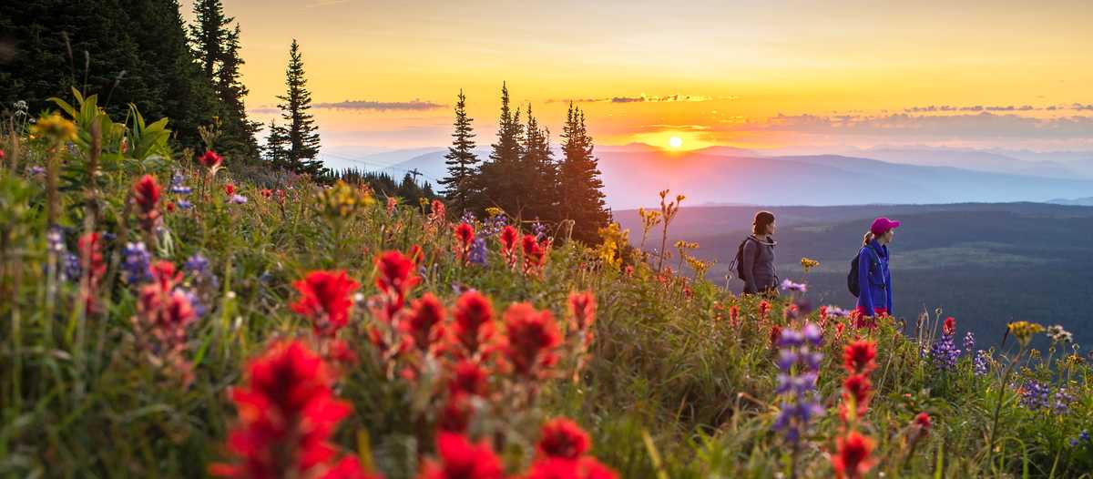 Sun Peaks im Sommer erleben! | CANUSA