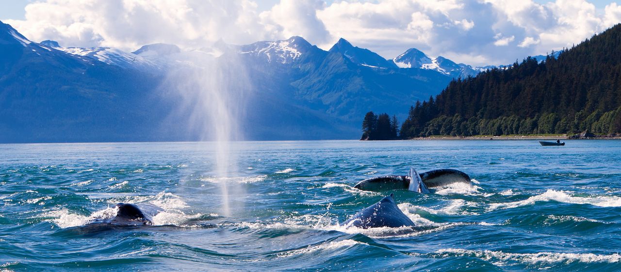 Erkunden Sie individuell die Nationalparks Alaskas! | CANUSA