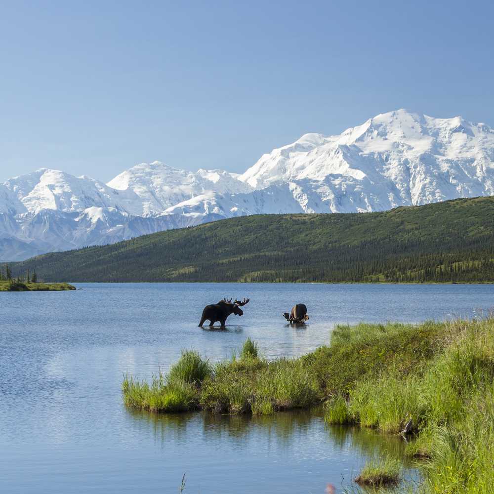 Erkunden Sie individuell die Nationalparks Alaskas! | CANUSA