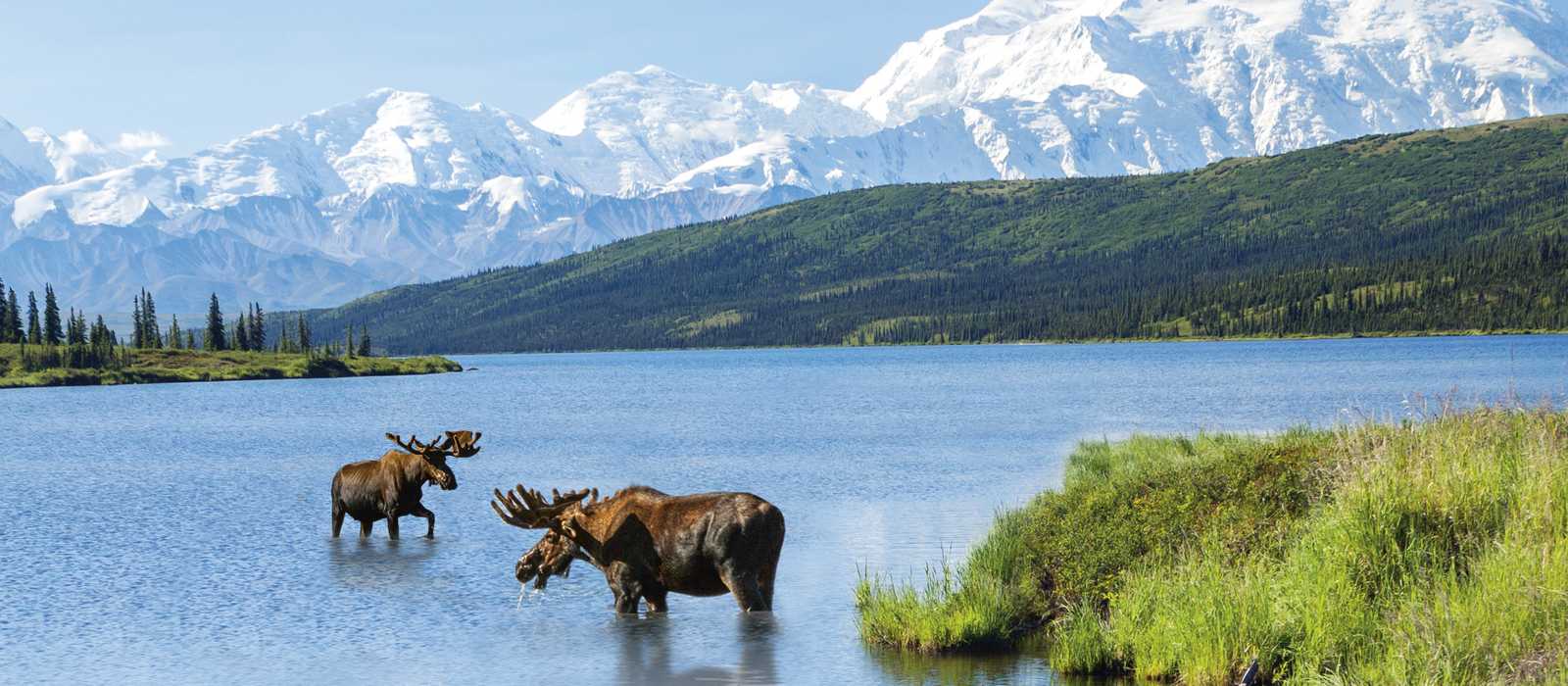 Erkunden Sie individuell die Nationalparks Alaskas! | CANUSA