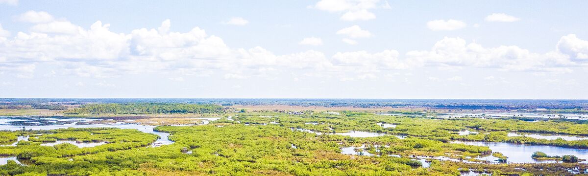 Everglades National Park besuchen! | CANUSA
