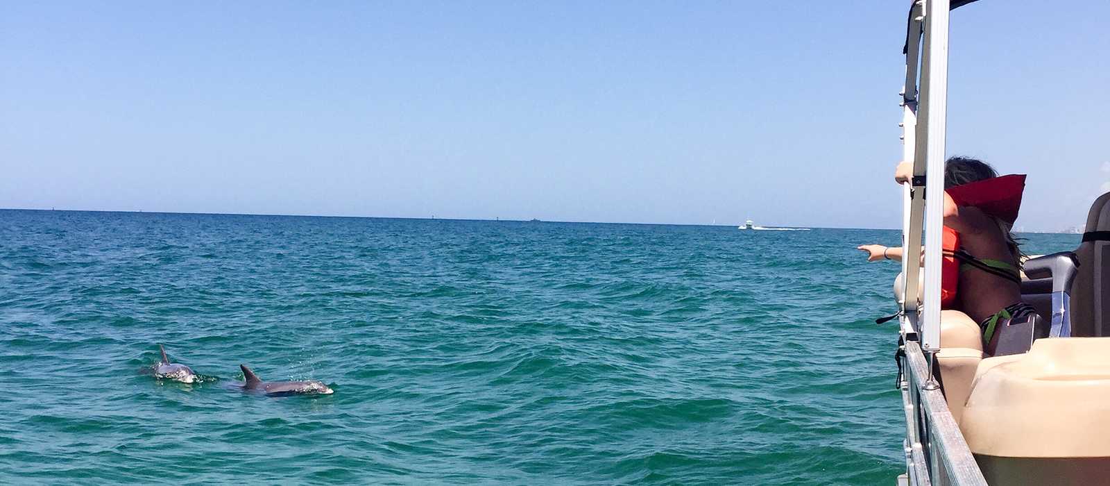 Florida Shell Island - Delfine hautnah | CANUSA