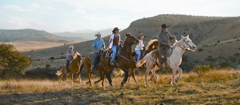 Cowboy Kultur in Texas entdecken! | CANUSA