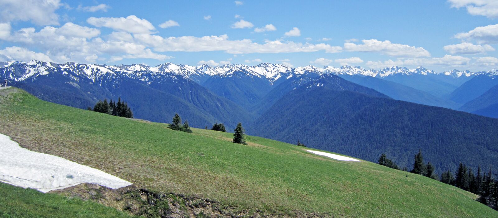 Hurricane Ridge | CANUSA