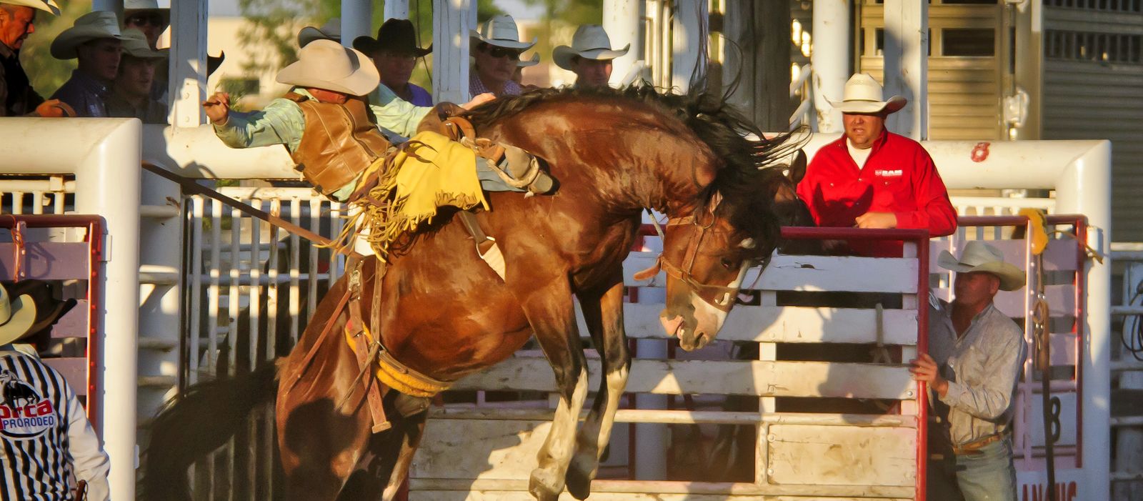 Rocky Mountain Staaten – Cowboys und Native Americans | CANUSA