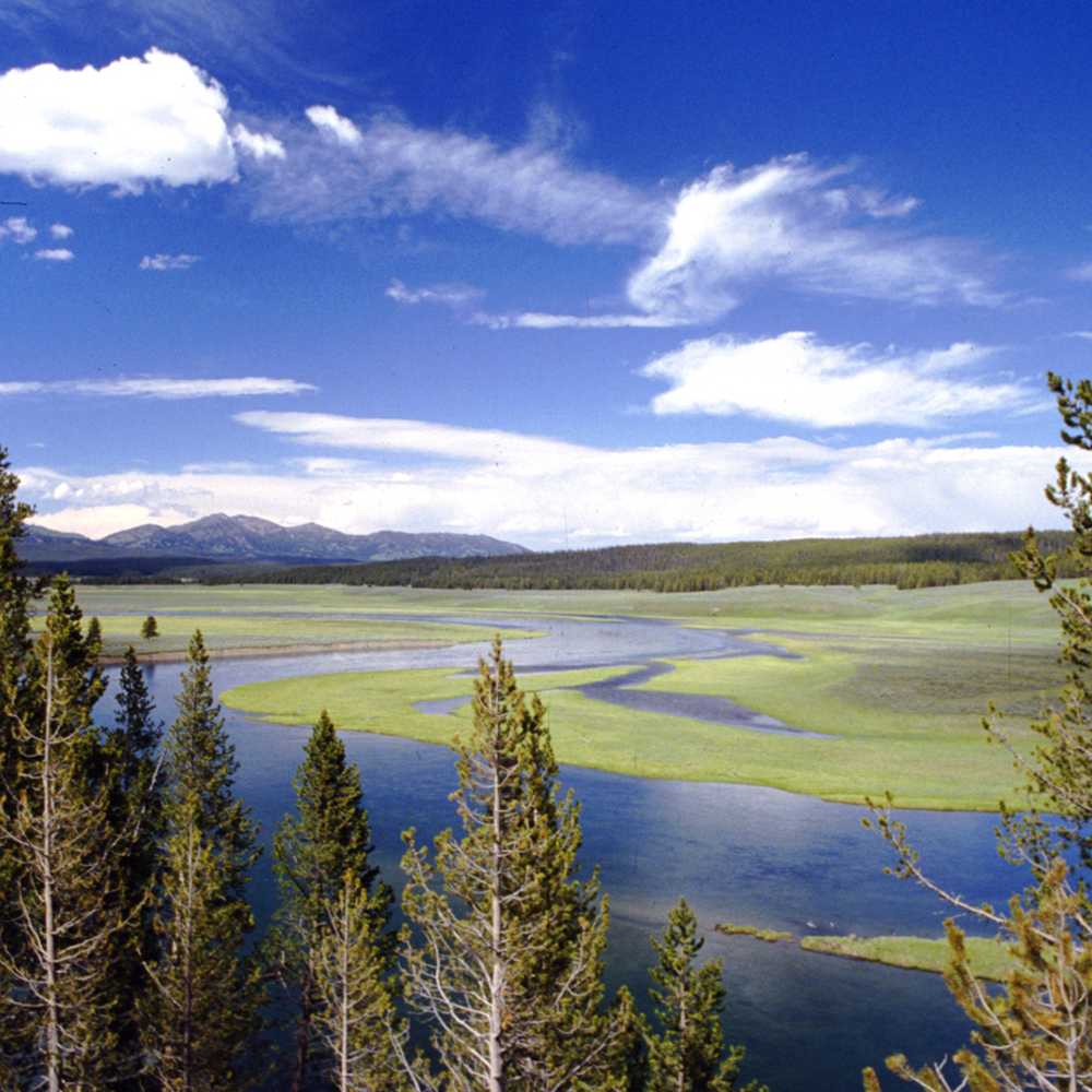 Urlaub für Naturliebhaber im Yellowstone National Park! | CANUSA