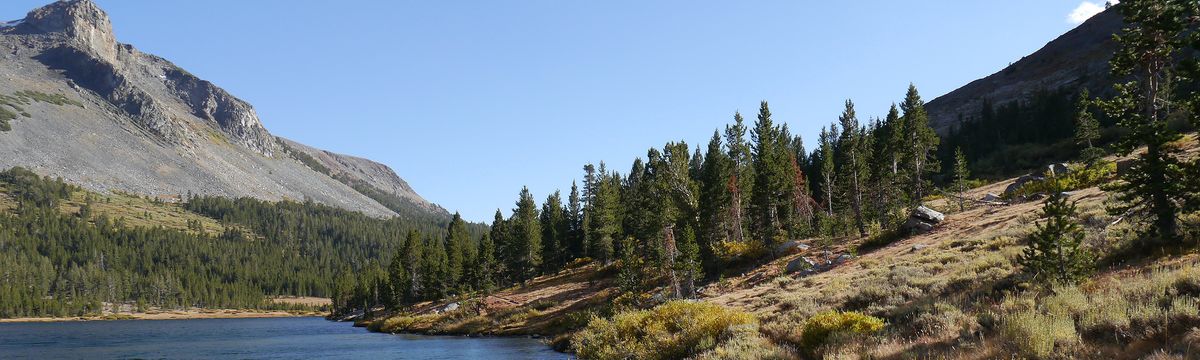 Schöner Tioga Lake Campground | CANUSA