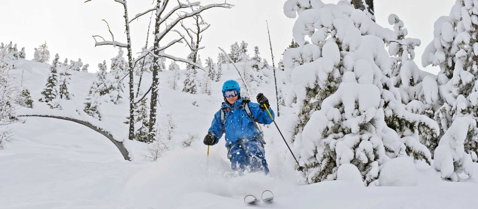 Tree Skiing in Big White | CANUSA